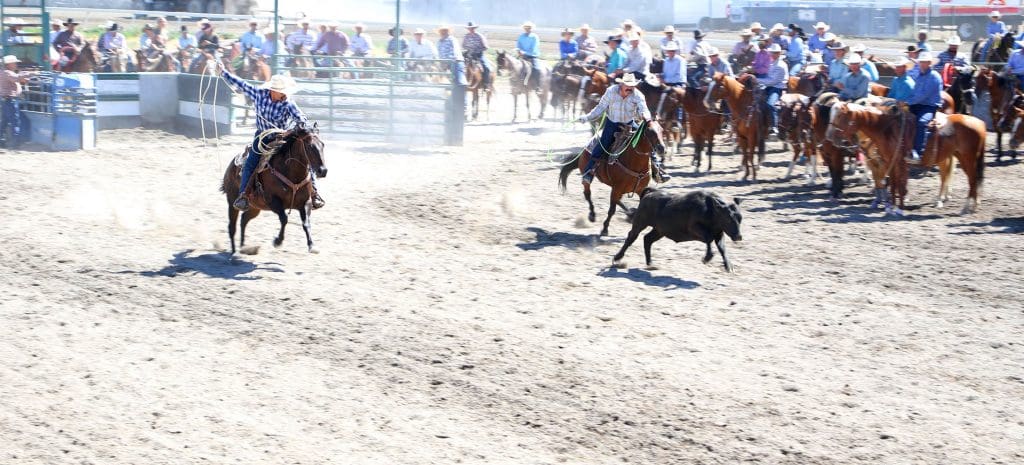 Home_MH_02 - Elko County Fair